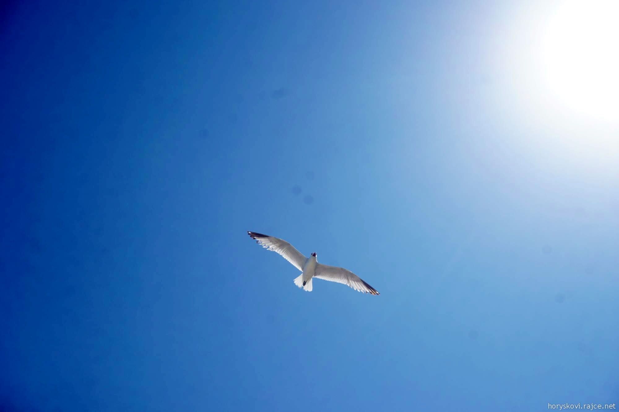 Tomášek, Verunka a Nikolka – albums list on Rajče