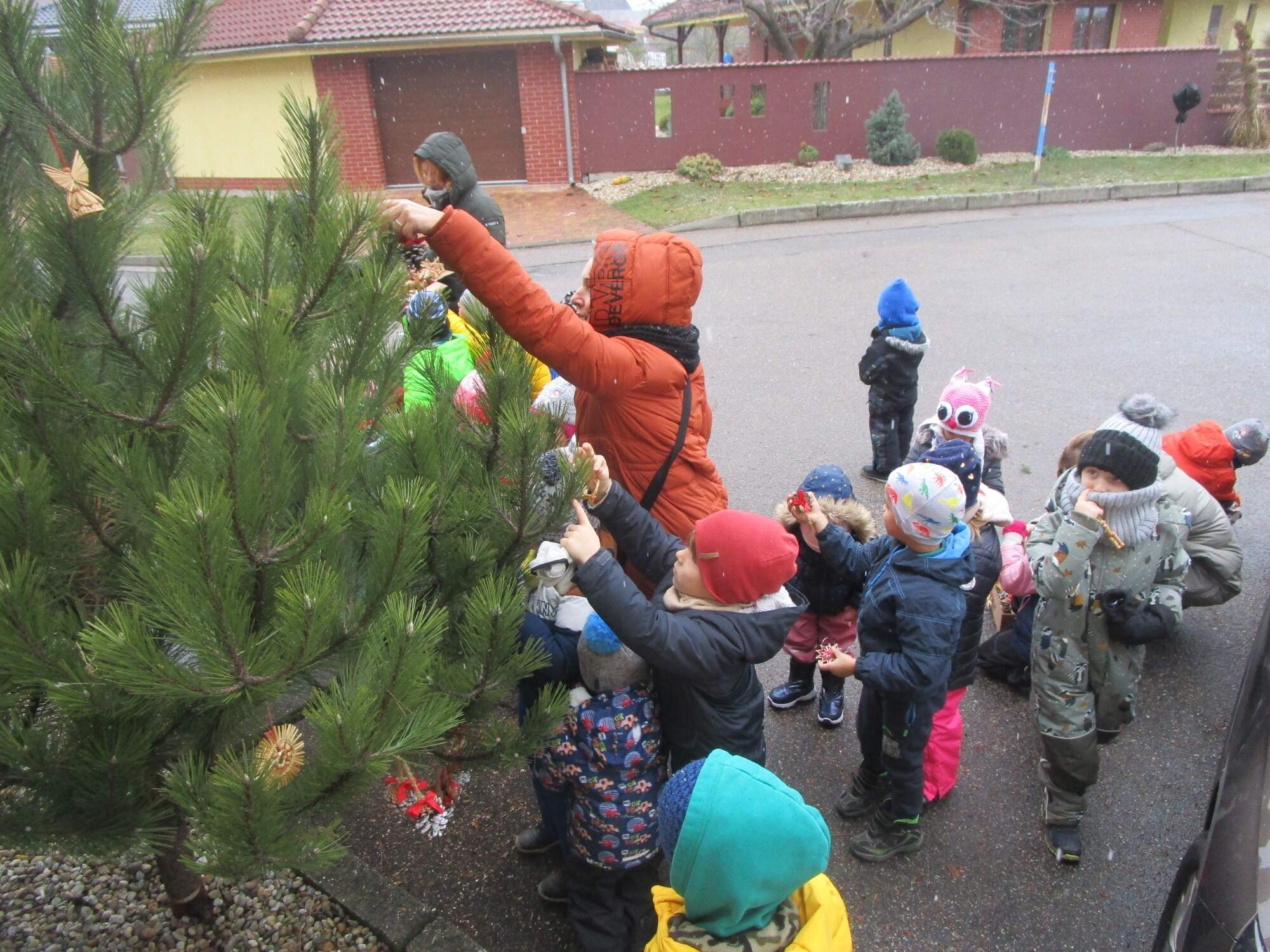 Prosinec 2023 Veverky – Fotogalerie – album na Rajčeti
