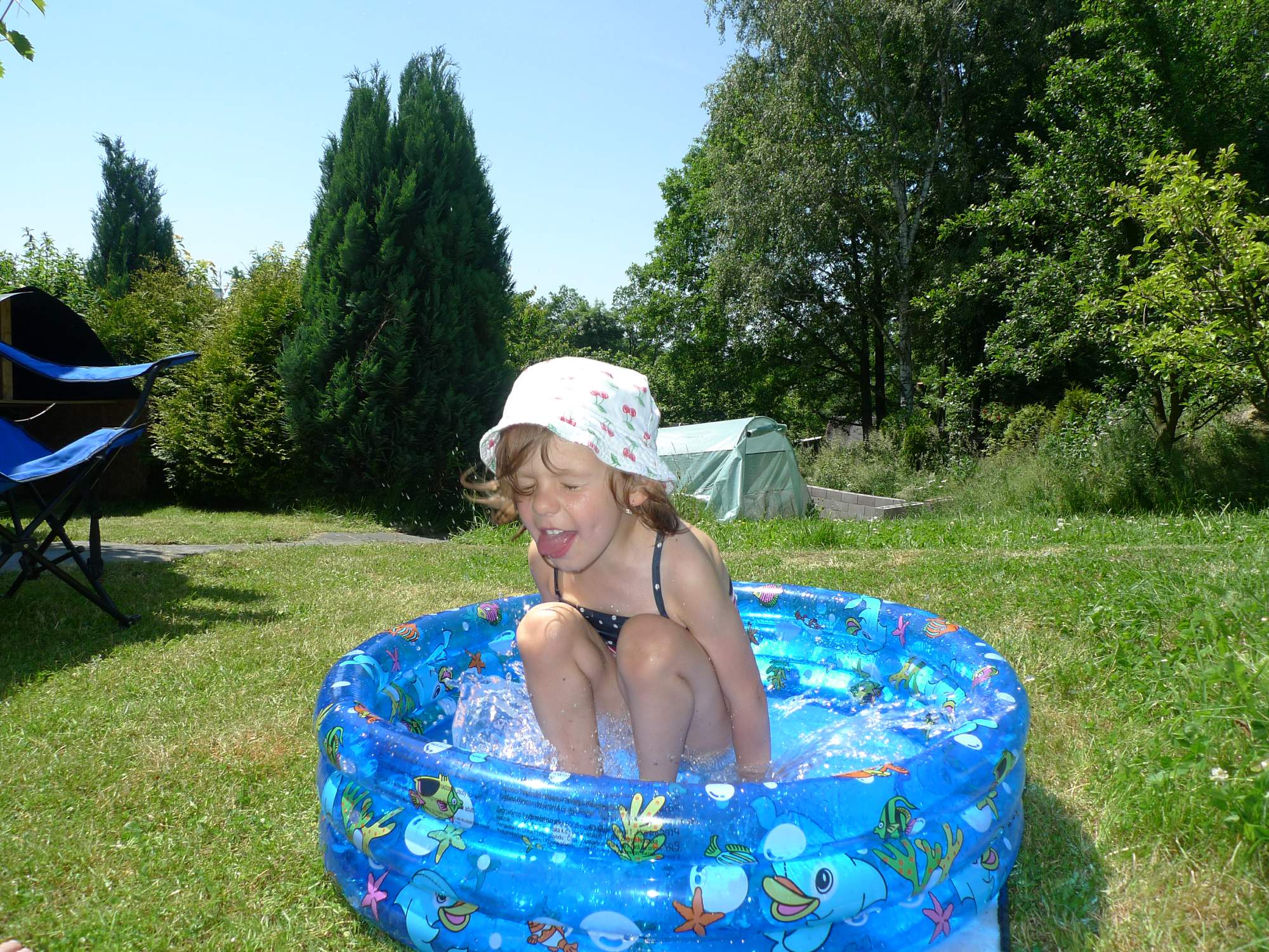 14-06-08 - na zahradě – rascal – album na Rajčeti