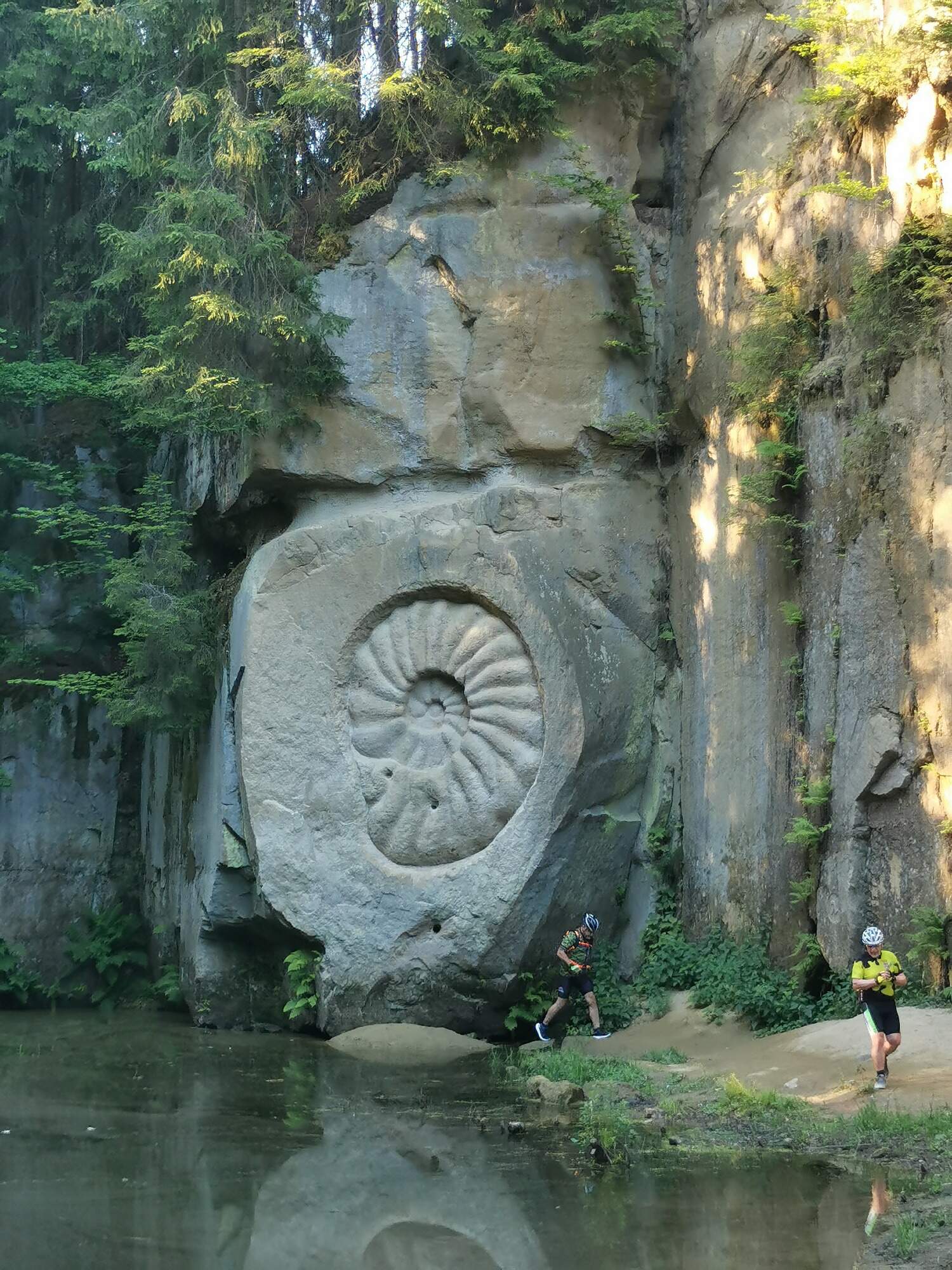 20250701_businov – bt2000 – album on Rajče